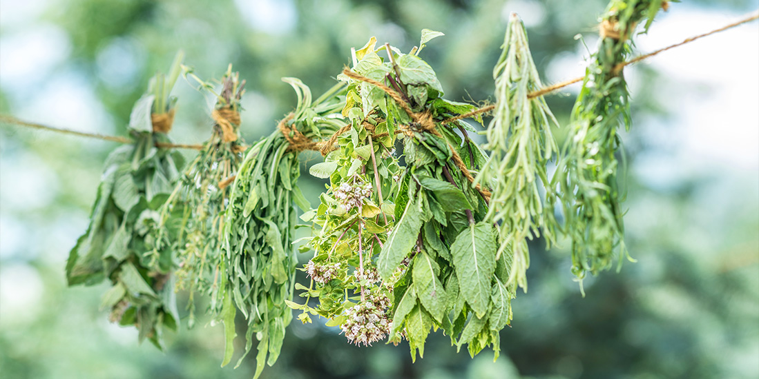 How to Prevent Bug Bites While Camping | Sun Outdoors