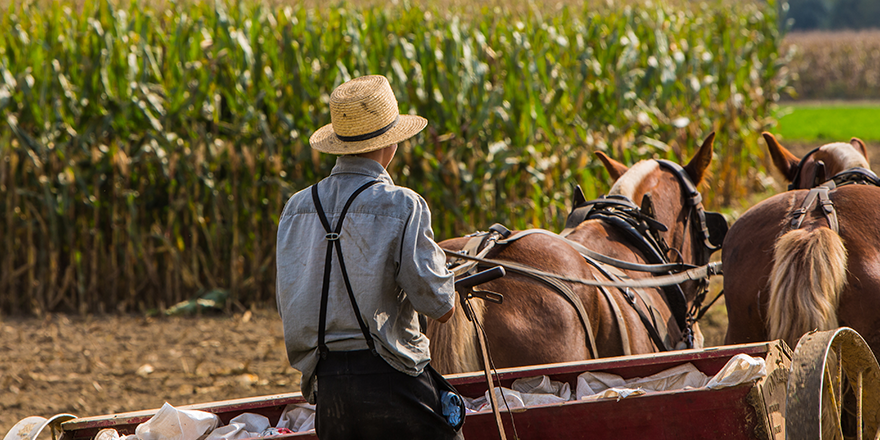The History of Pennsylvania Amish Country | Sun Outdoors