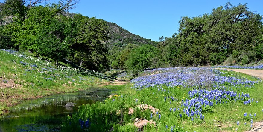 Best Bluebonnet Spots in Texas Hill Country | Sun Outdoors