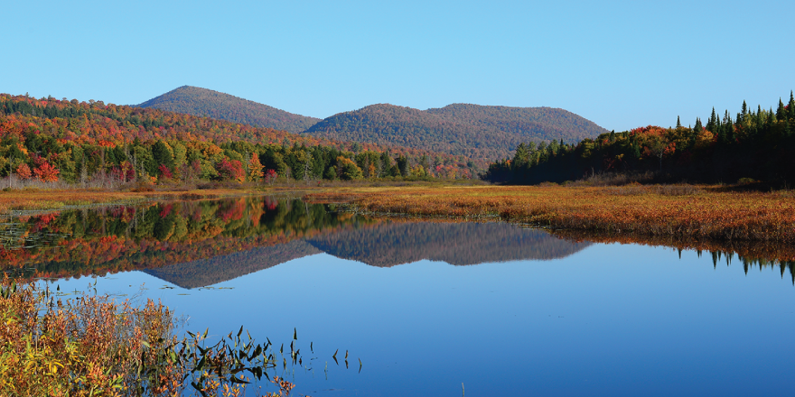 6 Stunning Campgrounds for Fall Colors | Sun Outdoors