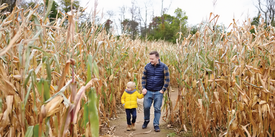 8 Healthy Fall Activities to Enjoy | Sun Outdoors