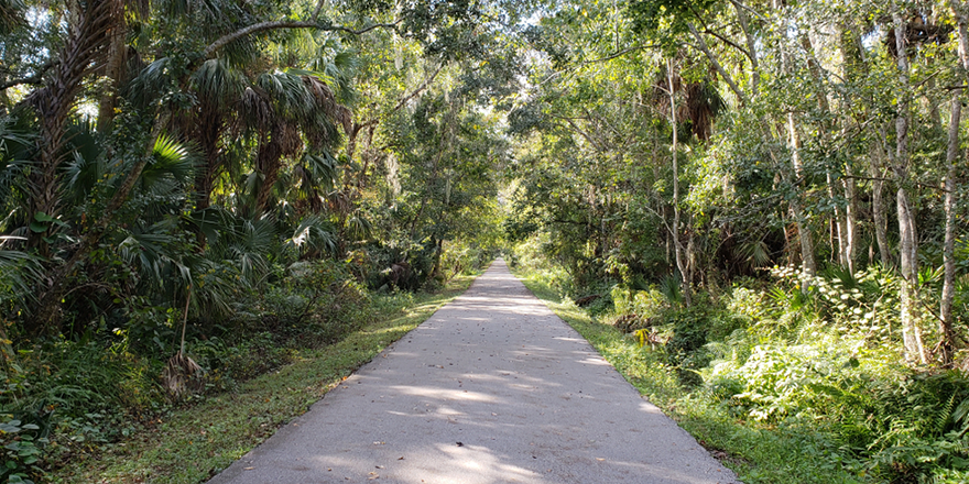 Top 8 Biking Trails in Florida | Sun Outdoors