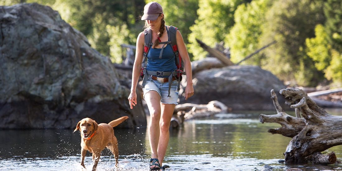 Essential Hiking Tips for All Levels | Sun Outdoors