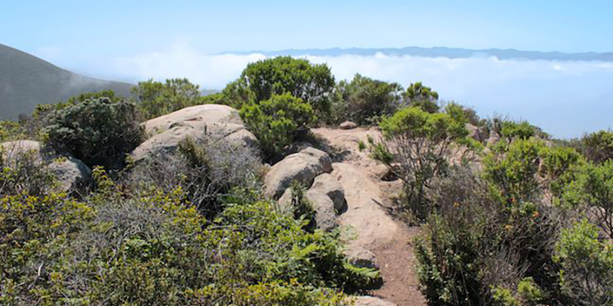 Hiking Trails in Paso Robles, CA | Sun Outdoors