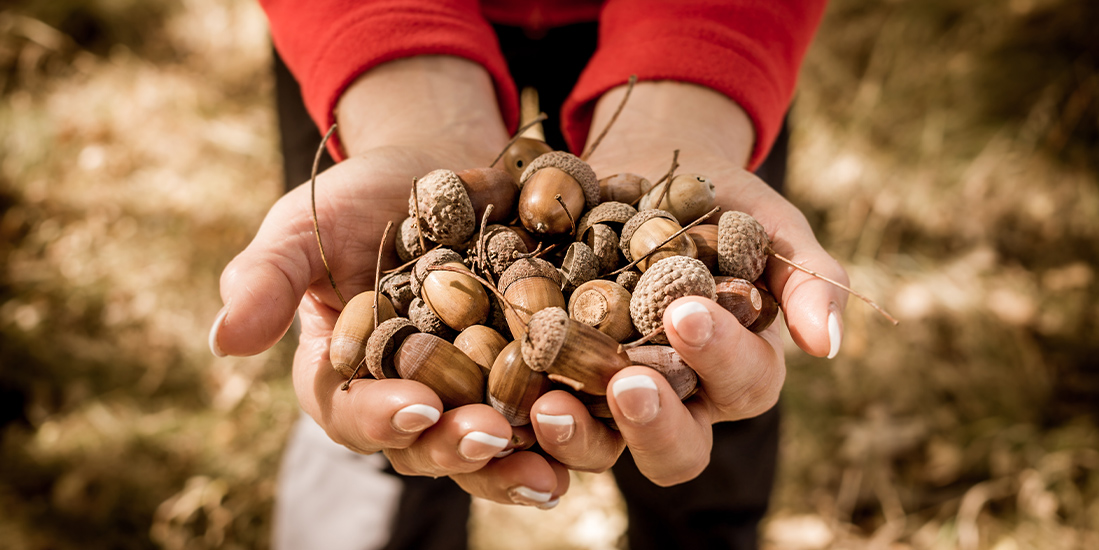 Fabulous Fall Crafts You Can Find in Nature