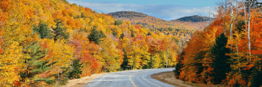 New England Fall Foliage Tours