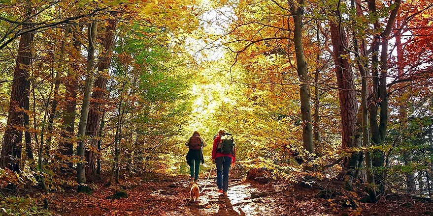 New England Fall Foliage Guide | Sun Outdoors