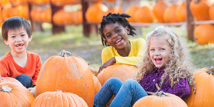 Fall Fun in Niagara Falls | Sun Outdoors