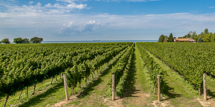 Top 6 Ontario Farms for Family Fun | Sun Outdoors