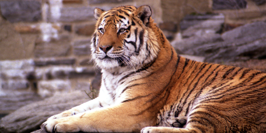 Top 10 Philly Attractions in One Day | Sun Outdoors