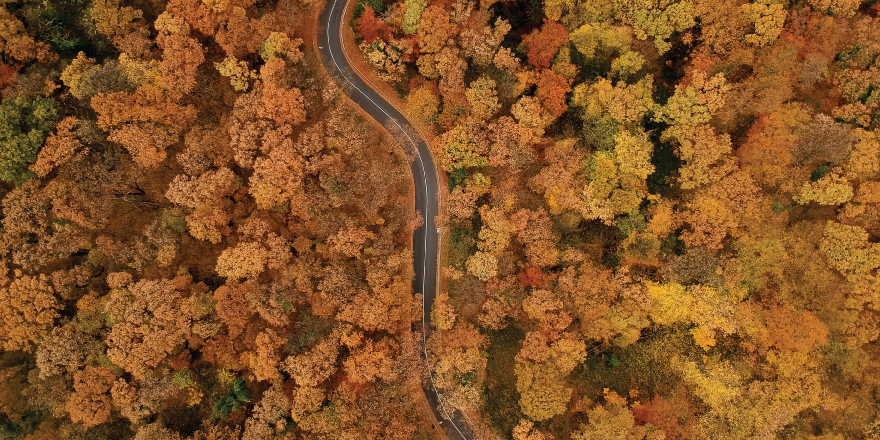 Top 10 Scenic Drives in the U.S. | Sun Outdoors