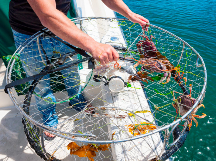 Crabbing at Our Coastal Resorts | Sun Outdoors