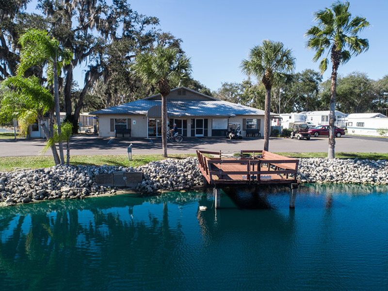 RV Resort in Arcadia, FL - Big Tree
