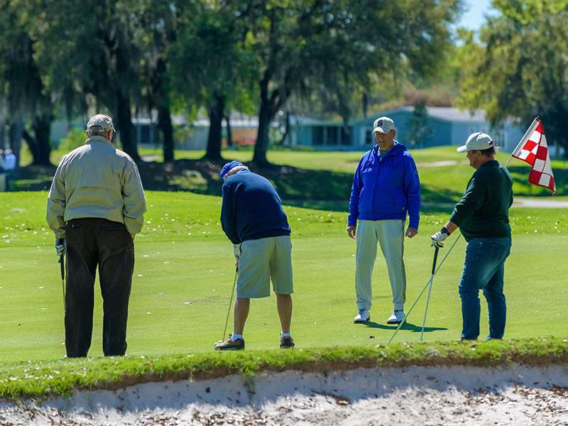 RV Resort in Bushnell, FL - Blueberry Hill