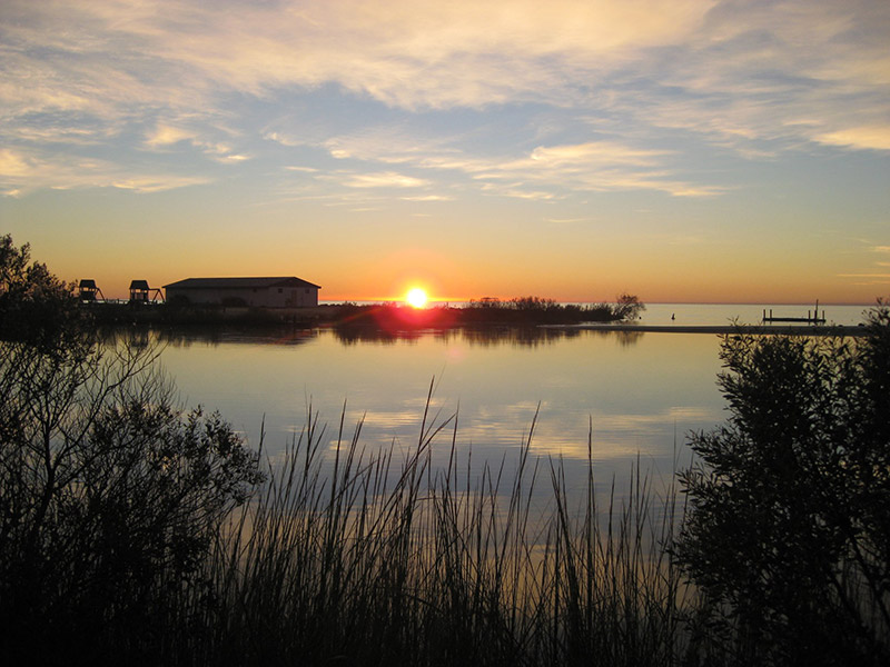 All Ages RV Resort in Gwynn, Virginia – Sun Retreats Gwynn's Island