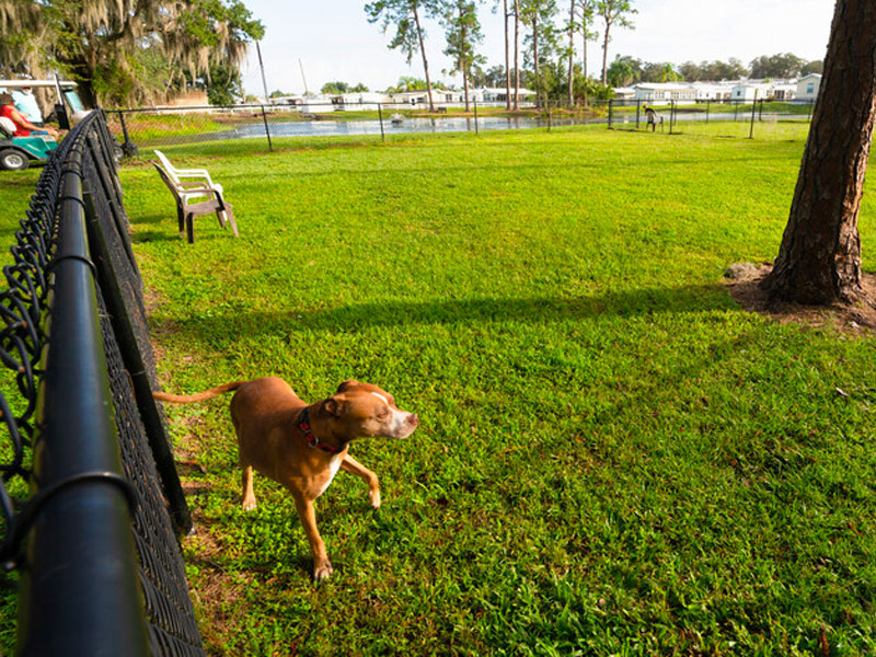 Vacation RV Park in Sebring FL – Buttonwood Bay RV Resort and ...