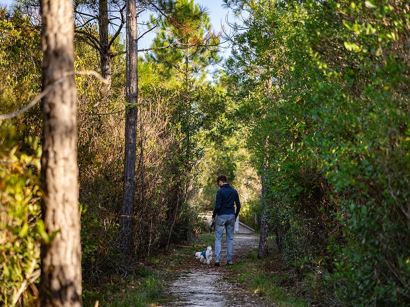 Amenities at Pandion Ridge RV Resort, Orange Beach, AL