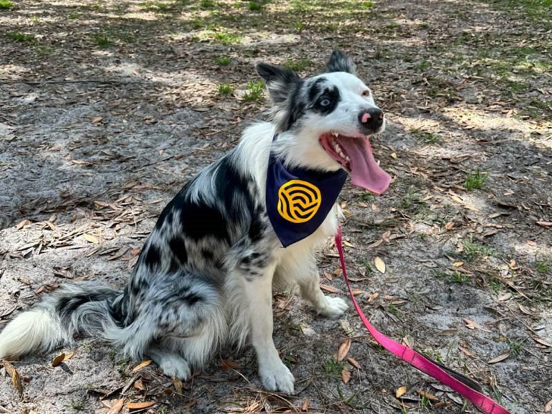 RV Resorts in St. Augustine | Sun Outdoors St Augustine