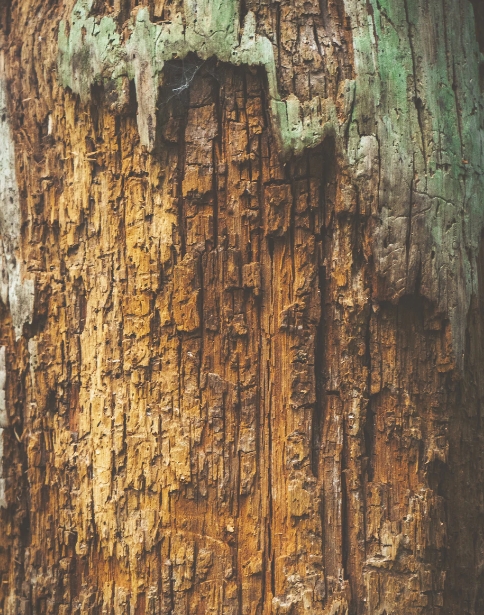 RV Resort in Petoskey, MI - Sun Outdoors Petoskey Bay Harbor