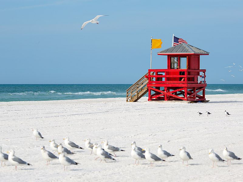 RV Resort in Bradenton, FL - Arbor Terrace