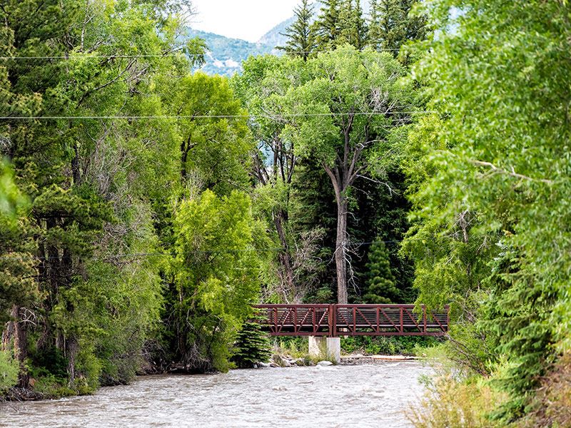 RV Resort in Zephyrhills, FL - Settler's Rest