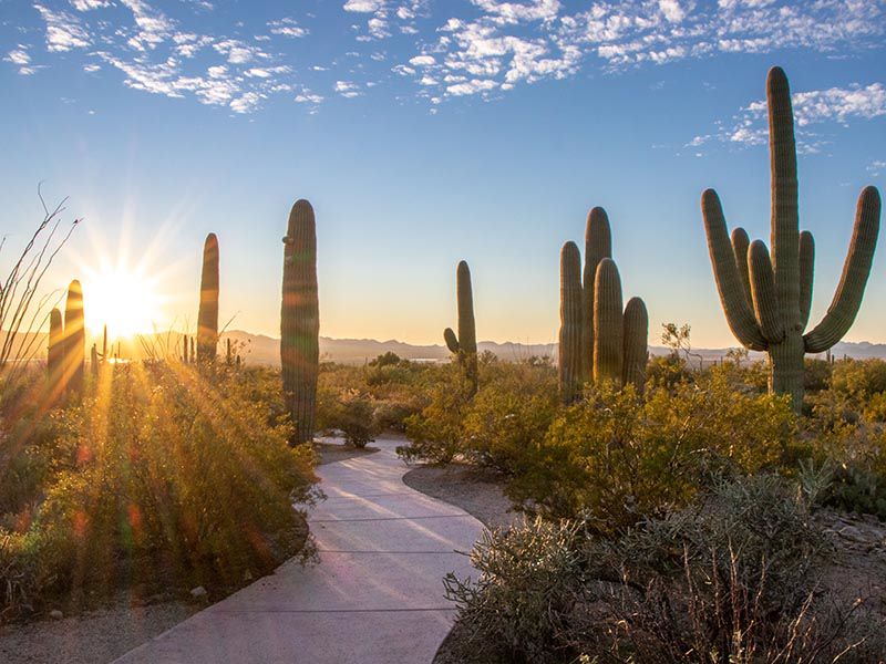 Arizona Best Places to Vacation in Arizona | Sun Outdoors